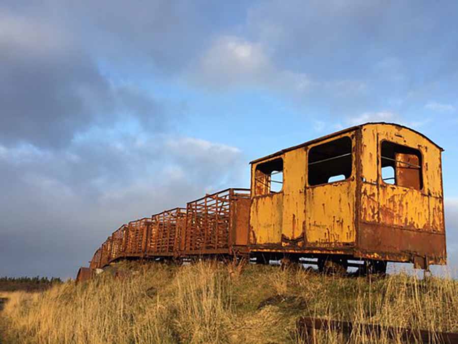 VISITOR ATTRACTION: what’s new and what’s cool at Offaly’s Lough Boora ...